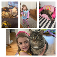 Mike Izzo - The United States (384 books)