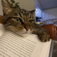 Katie Schultz - The United States (171 books)