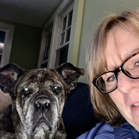 Sharon Glass - The United States (259 books)