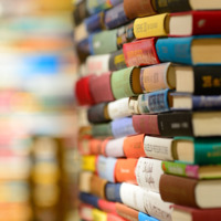 Amanda Burrows - The United States (5 books)