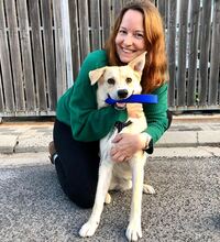 Jaclyn (jaclyn_w) - Cape Town, WC, South Africa (1,922 books)