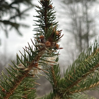 Jimmy Swarce - Middleboro, MA (80 books)