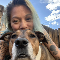 Emma De Vos Tidd - The United States (2,441 books)