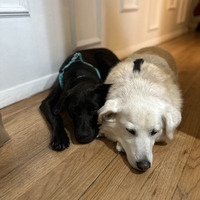 Erin Tamiso - The United States (184 books)