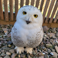 jack demarest - The United States (233 books)