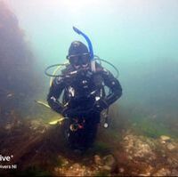 Sienna Foster - The United Kingdom (76 books)