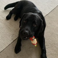 Georgina Emily - UK, The United Kingdom (65 books)