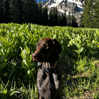 Brooke Bryan - Flagstaff, AZ (339 books)