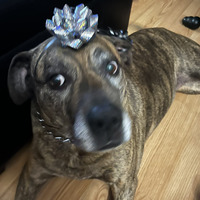 Melly-Jade Fournier - Stoneham, QC, Canada (282 books)