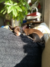 Ashley Hearn - Thunder Bay, ON, Canada (774 books)