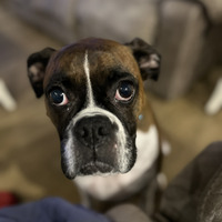 Jennifer Bittner - The United States (297 books)