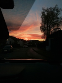 Lyhfml Babes (218 books)