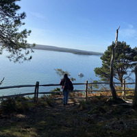 Caitlyn Bell (514 books)