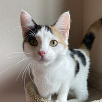 Megan Monahan - Mankato, MN (60 books)