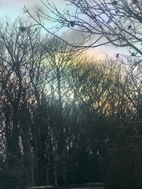 Emma Lofthouse-Burch - The United Kingdom (345 books)