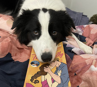 Jade Garcia - Australia (14 books)