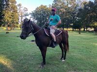 Andrew Duback (240 books)