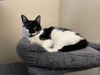 Cecily (cfwportland) - Portland, OR (877 books)