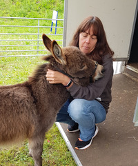 Lisa Whitehead (1,050 books)