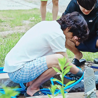 signe! (signea) - Sweden (750 books)