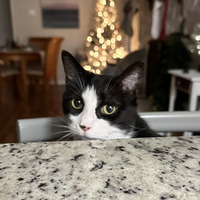 Kaylee S - York, SC (17 books)