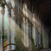 Whitney - Springfield, MO (805 books)