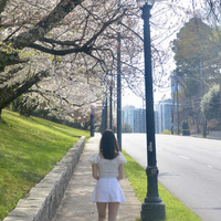 Emily Yan (maeyin) - The United States (25 books)