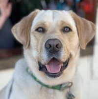 Jill Farrell - New Rochelle, NY (322 books)