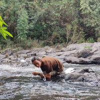 Christian Ching - Singapore, 00, Singapore (495 books)