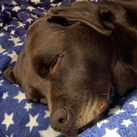 Cris - Madrid, 28022, Spain (283 books)