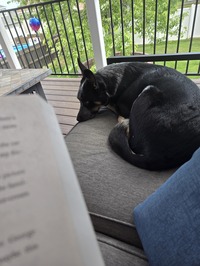 Emily - Billings, MT (6 books)