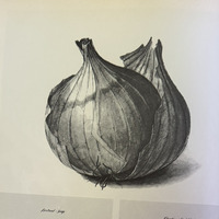 Jessica Smiley - Rosemead, CA (346 books)