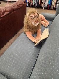 Alex Mayfield - The United States (10 books)