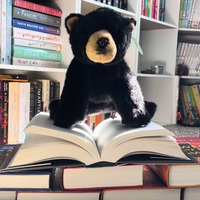 the bear’s library (341 books)
