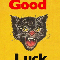 Zack the Ripper - Smyrna, GA (623 books)