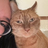 Heather Mazzi - The United States (164 books)