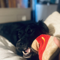 Katlyn Finch - Madison, WI (16 books)