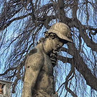 Yulun Wu - Viersen, 07, Germany (1 book)