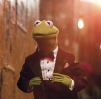 Professional Kermy - Scottsdale, AZ (203 books)