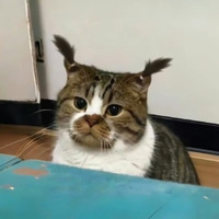 beanster - The United States (16 books)