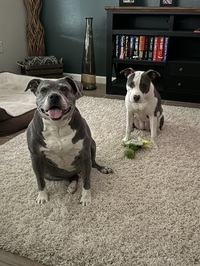 Denise Beatty (denisebeatty) - Vail, AZ (672 books)