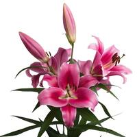 LUNI ★ (end_with_kies) (72 books)