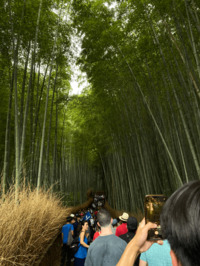 Tony Lam - The United States (2 books)