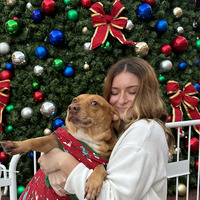 Madison Shea (madisonshea) - Kissimmee, FL (152 books)