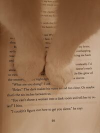 Paws And Pages (17 books)