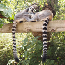 James Rowe - Auckland, E7, New Zealand (8 books)