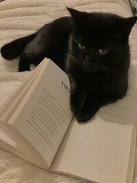 Yani Fernandez - Miami, FL (45 books)