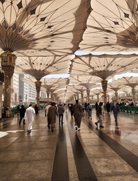 Umar Lee (umarlee) - Saint Louis, MO (1,523 books)