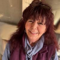 Ginger Johnson - Denver, NC (13 books)